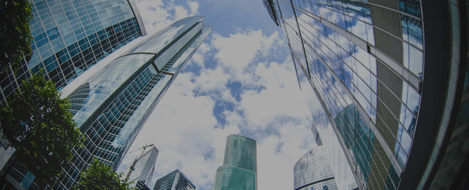 Industrii - VIVA Telecom